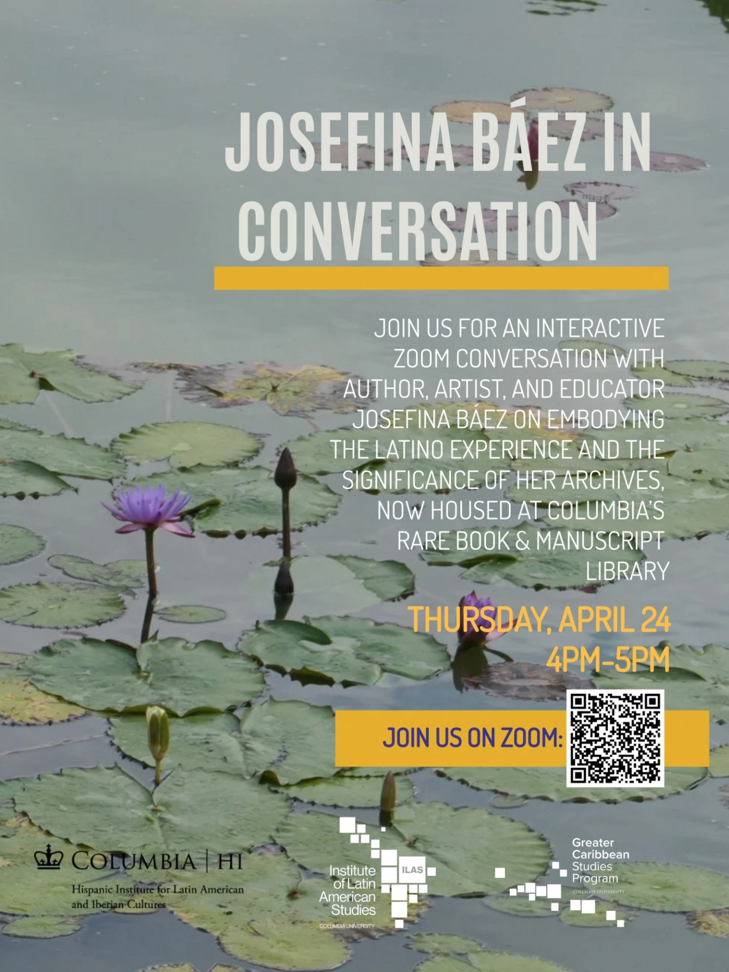 Virtual Event: Dominican Artist Josefina Báez in Conversation | LAIC